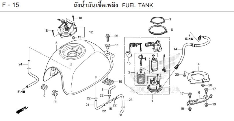 Moto TH - Honda MONKEY (2021) Parts - FUEL TANK