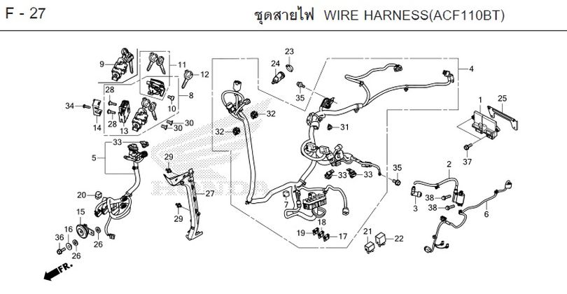 Moto TH - Honda SCOOPY (2022) Parts - HARNESS