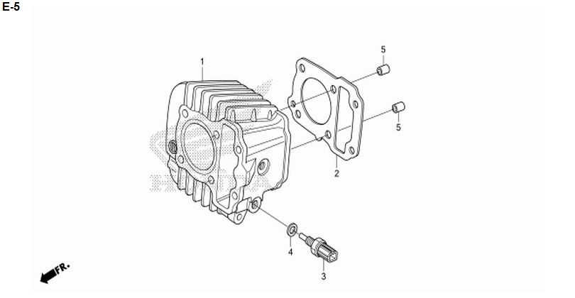 Moto TH - Honda SUPER CUB (2017) Parts - CYLINDER