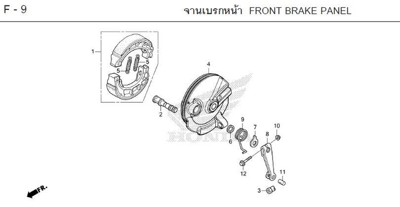 Moto TH - Honda SUPER CUB (2021) Parts - FRONT BRAKES